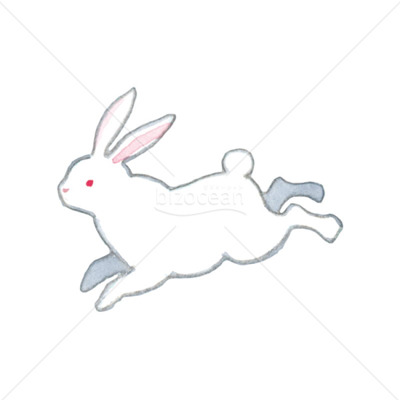 「イラスト」白ウサギ2｜bizocean（ビズオーシャン）